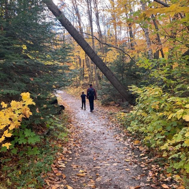 Voluntary Carbon Offsets and the Journey to Net-Zero | Inogen