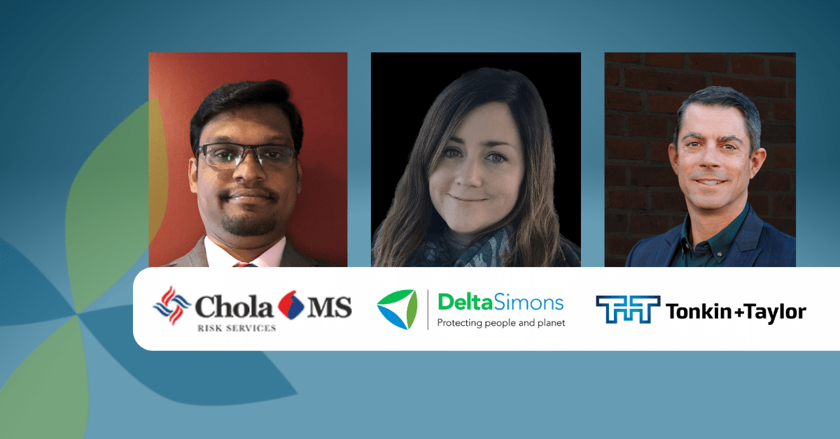 Chola Risk, Delta-Simons and Tonkin+Taylor additions to the Leadership ...
