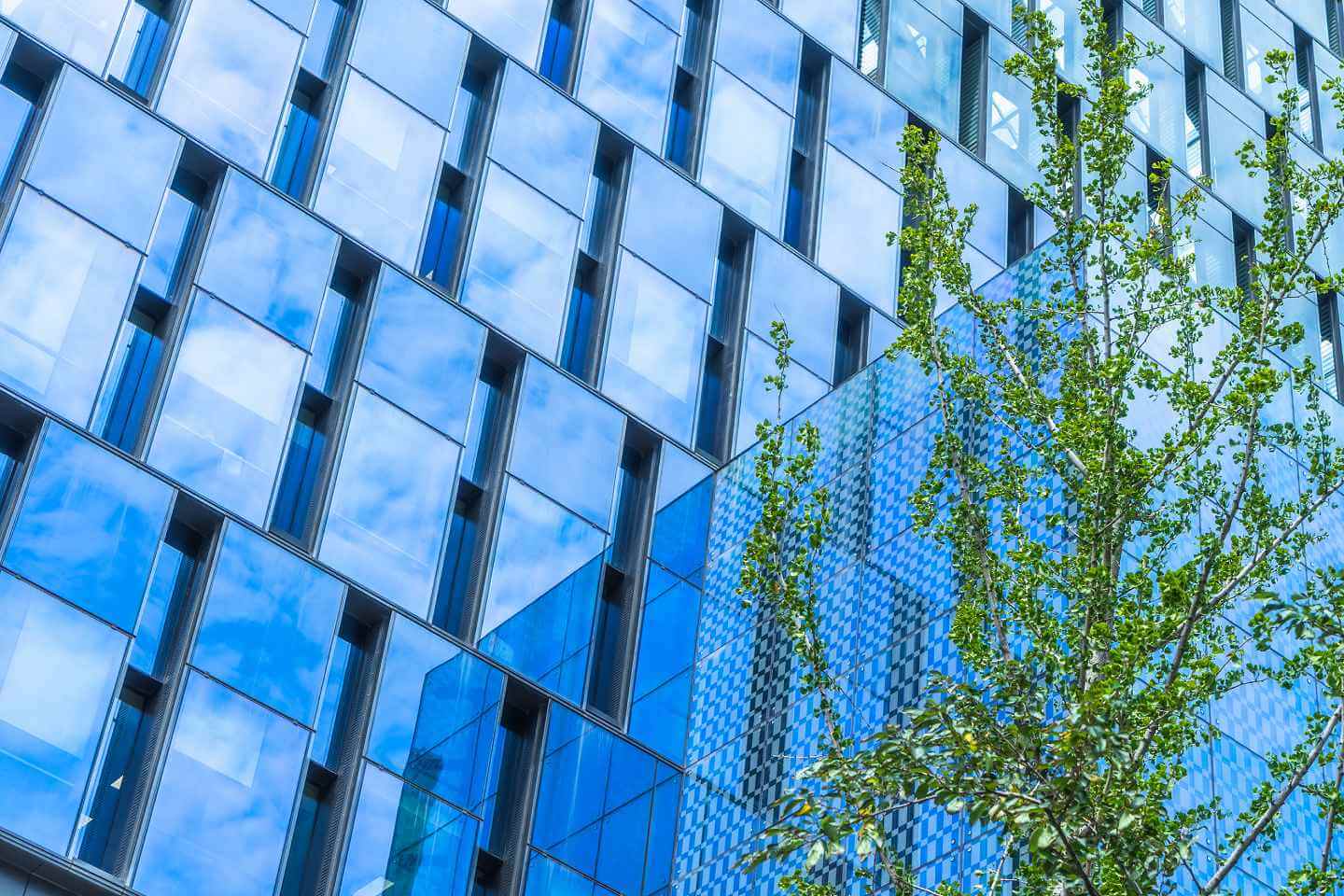 BONUS: Energy Transition and Security in Europe | Inogen